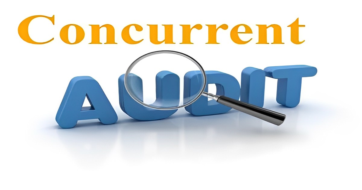 Concurrent Audit – Reliable International Business LLC
